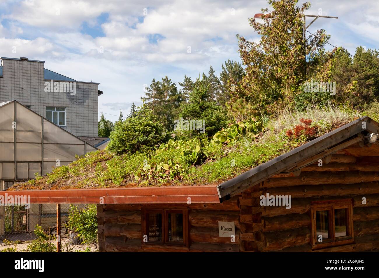Extensive Green Roof Design