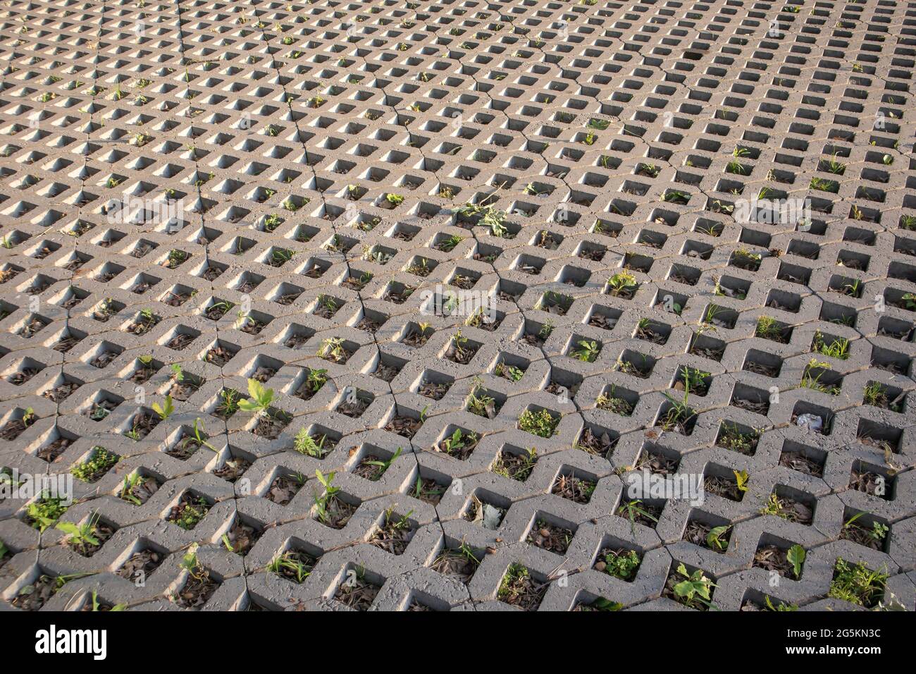 Background from paving slabs with grass sprouting through them. Stone ...
