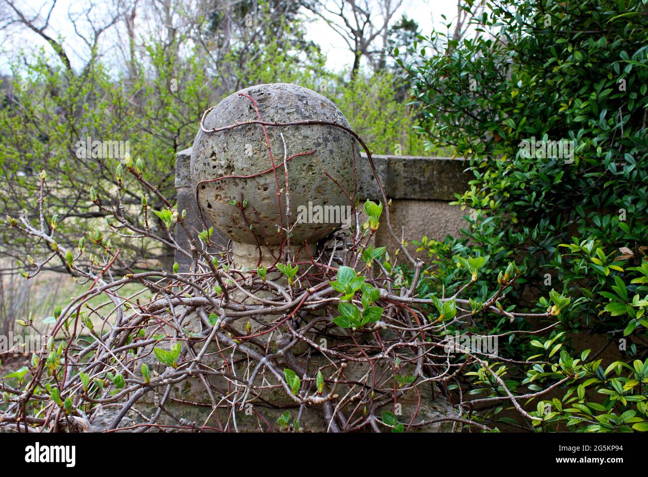 Vine Covered round stone pillar cap with trees in the background Stock ...