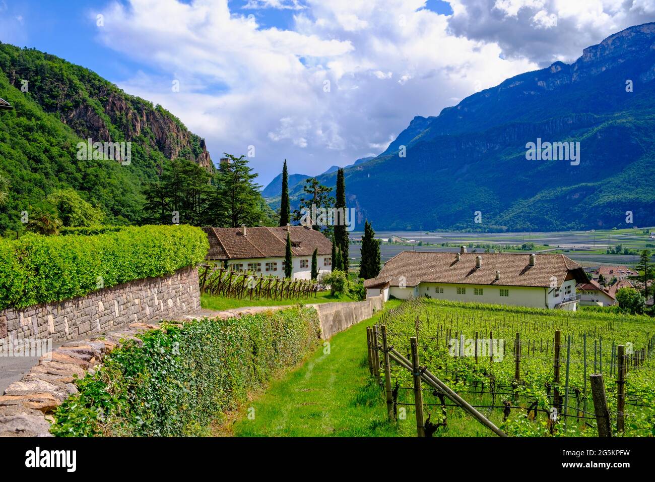 Terlan, Burggrafenamt, South Tyrol, Italy, Europe Stock Photo - Alamy