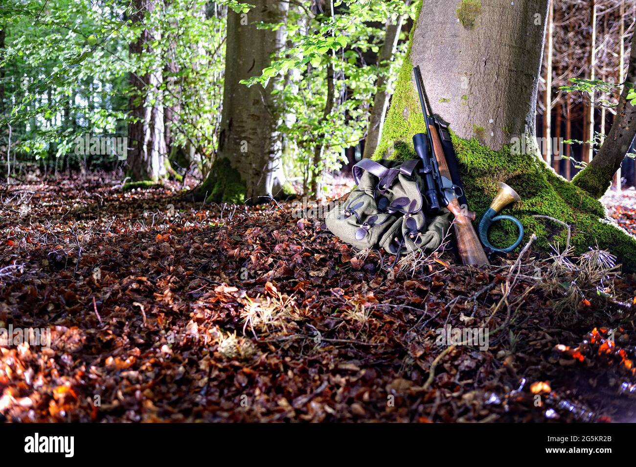 Hunting rifle in forest, Germany, Europe Stock Photo - Alamy