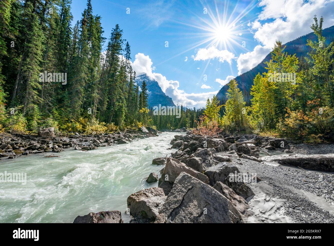 Wild river in Yoho Valley, Beautiful weather, sky with sun star, yellow ...