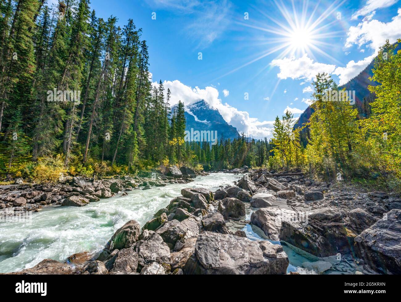 Wild river in Yoho Valley, Beautiful weather, sky with sun star, yellow ...