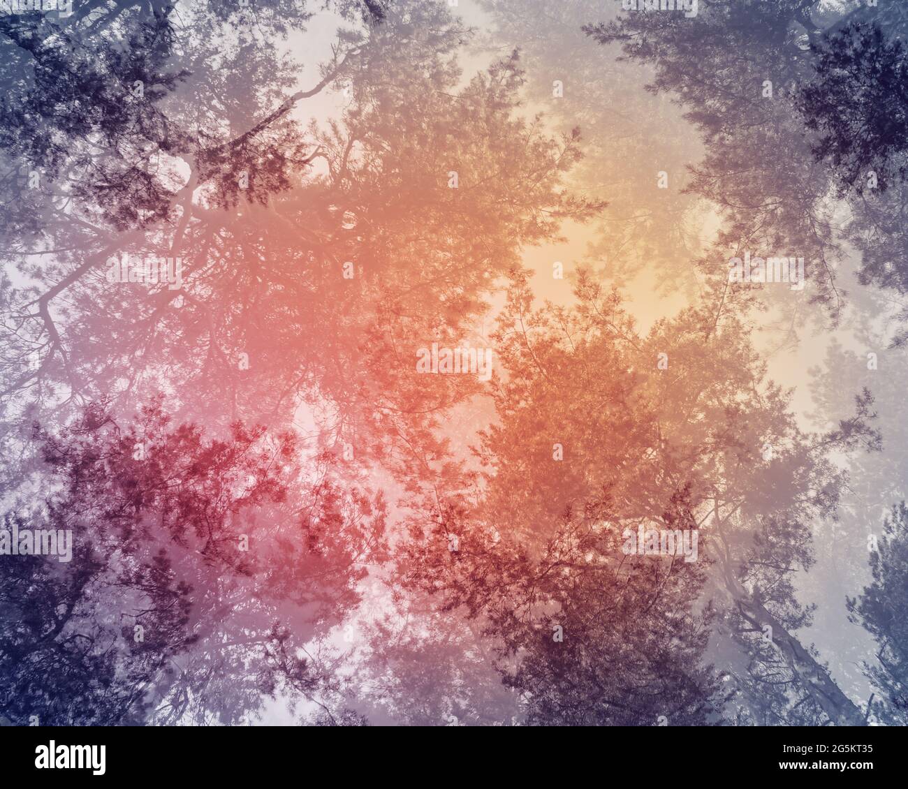 Dark cinematic background hi-res stock photography and images - Alamy