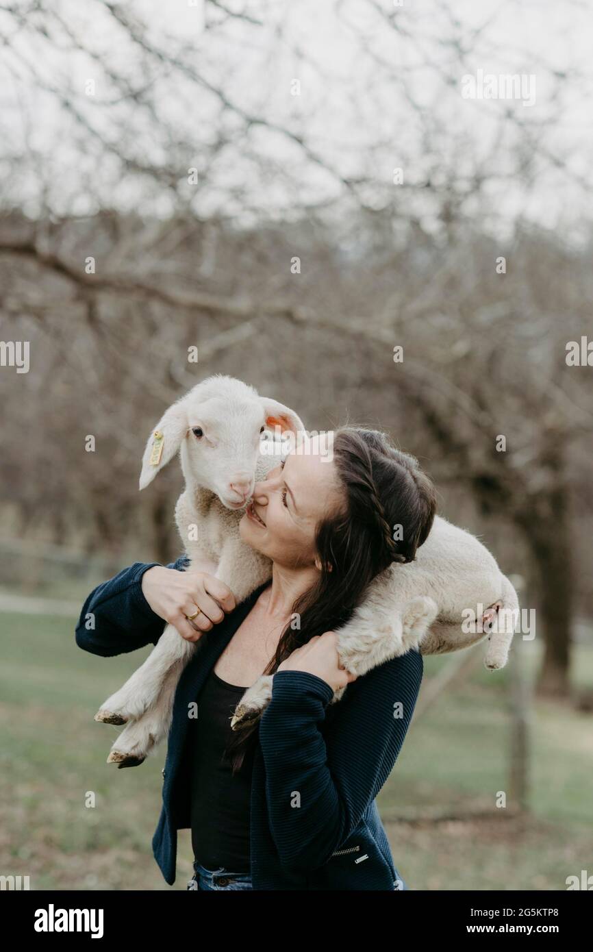 Lamb shoulders hi-res stock photography and images - Alamy