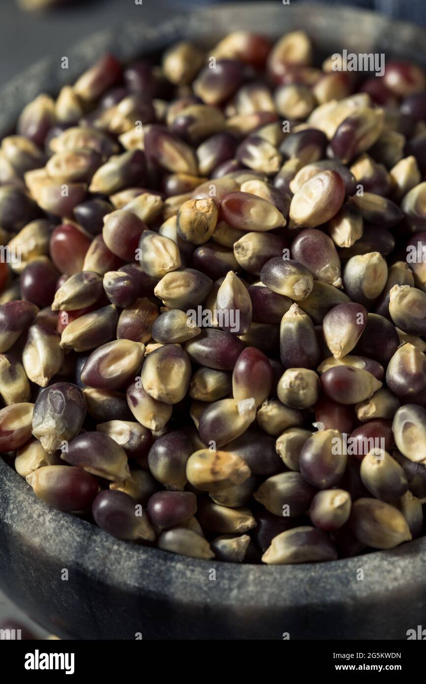 Purple kernels hi-res stock photography and images - Alamy