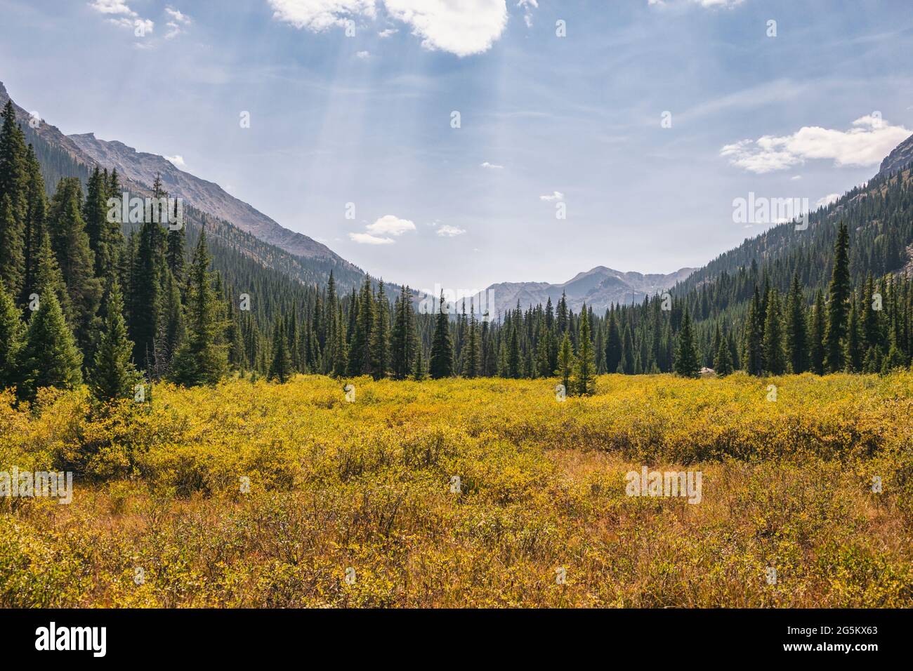 Hunter fryingpan hi-res stock photography and images - Alamy