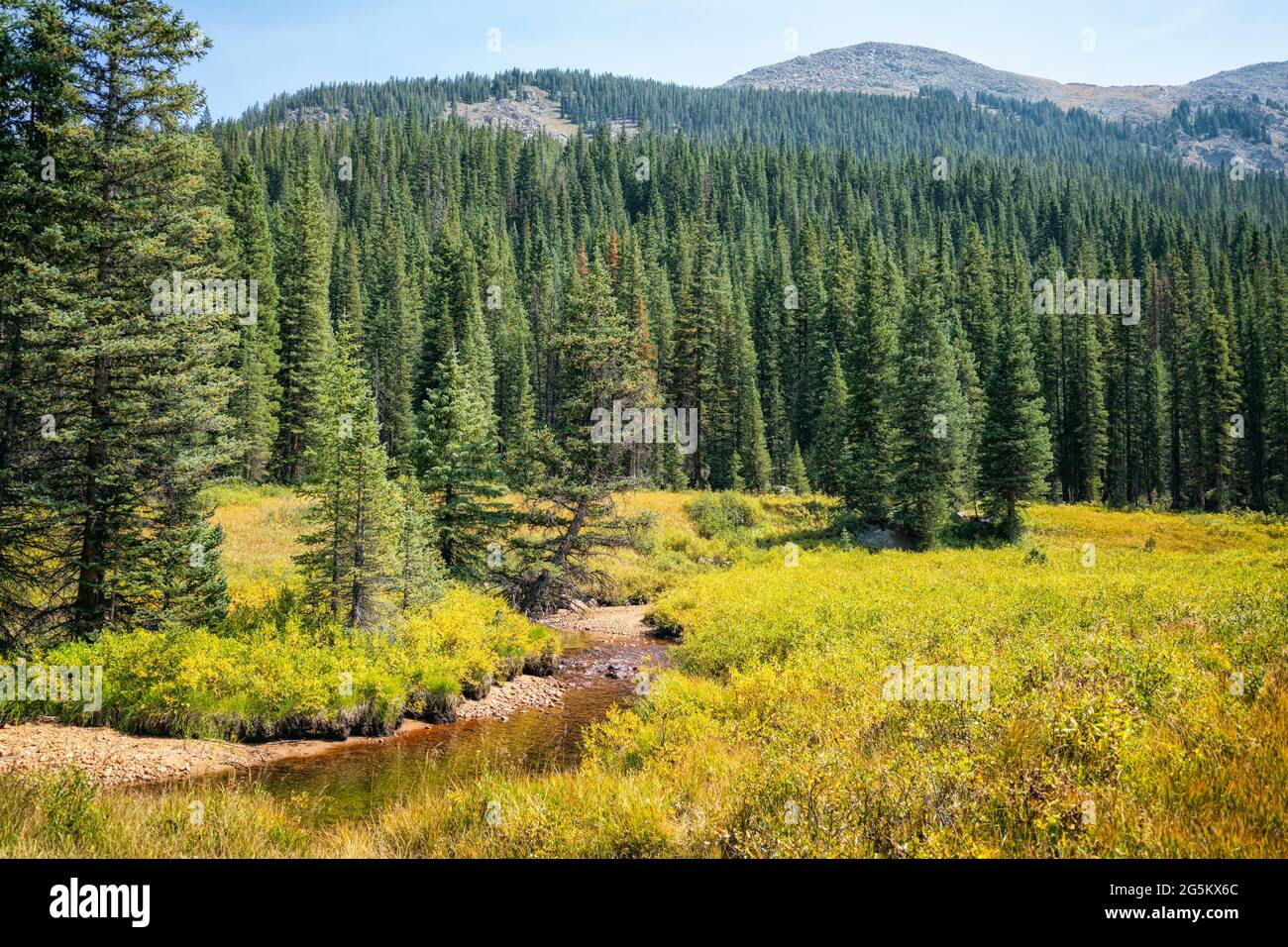 Hunter fryingpan hi-res stock photography and images - Alamy