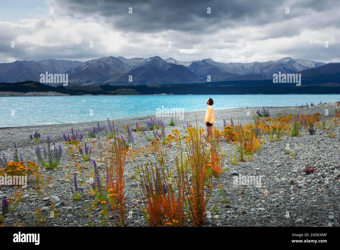 Mackenzie district hi-res stock photography and images - Alamy