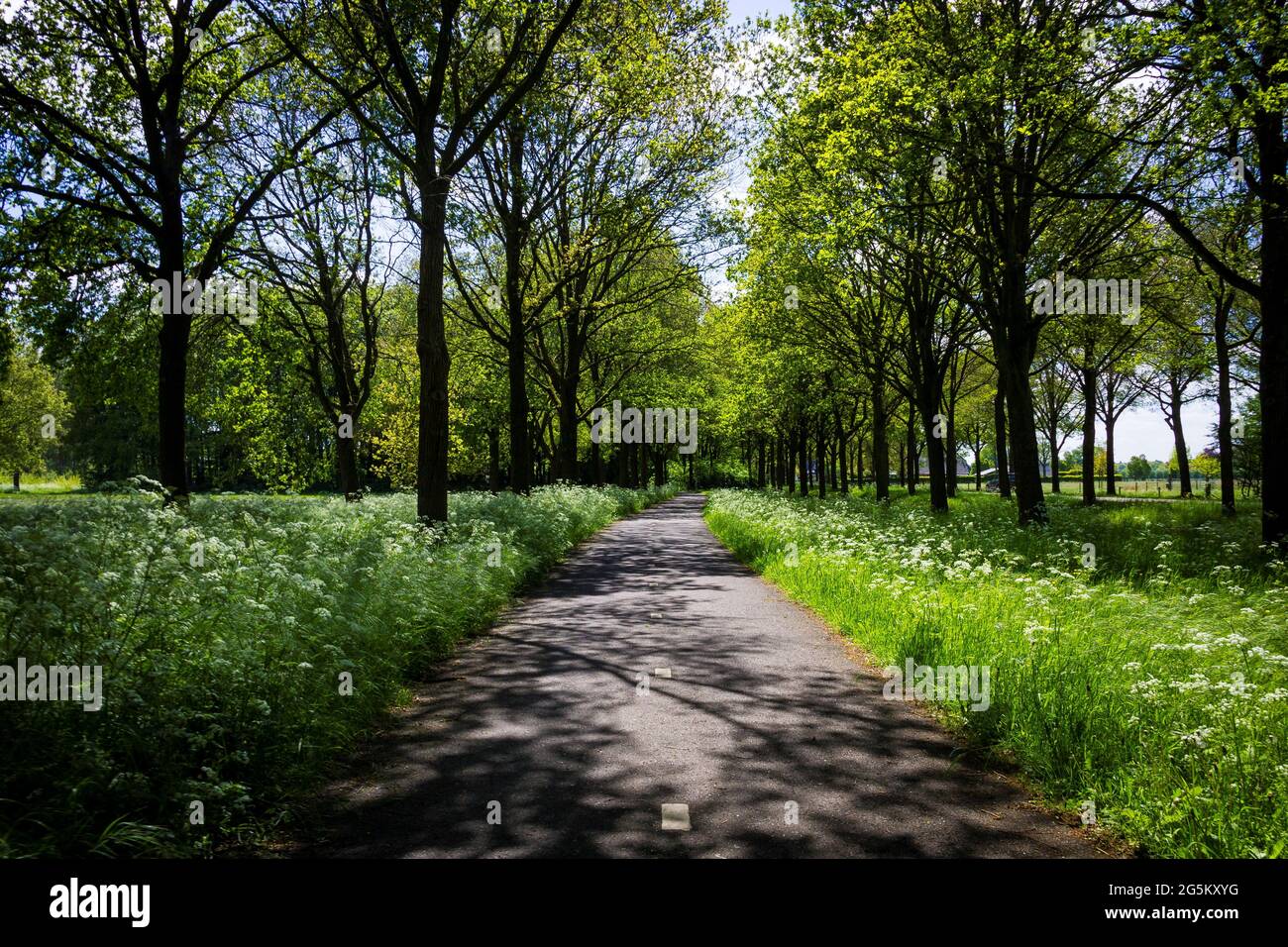 Split lanes hi-res stock photography and images - Alamy
