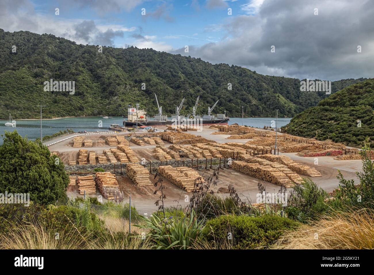 Log Port at Shakespeare Bay, Picton Stock Photo - Alamy