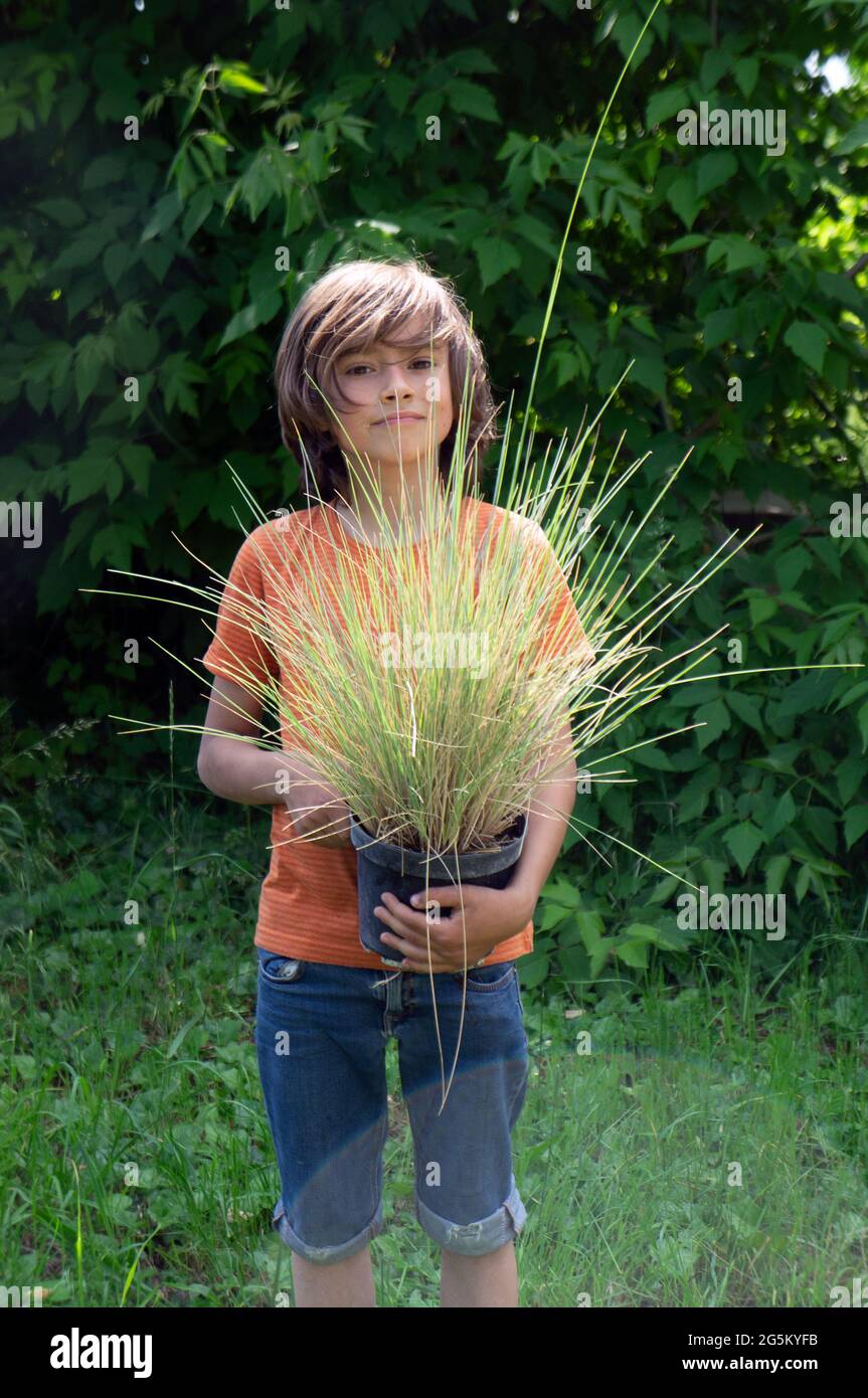 Boy plant pot hi-res stock photography and images - Alamy