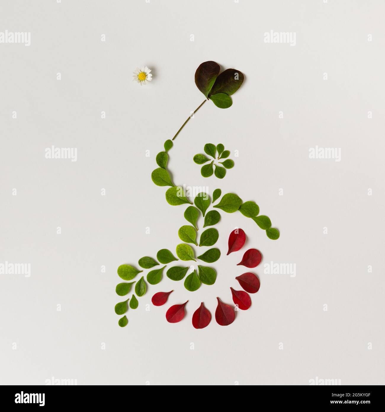 Disability Card High Resolution Stock Photography and Images - Alamy