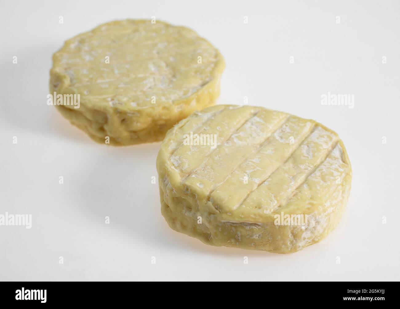 Saint Marcellin, French cheese made from cow's milk Stock Photo - Alamy