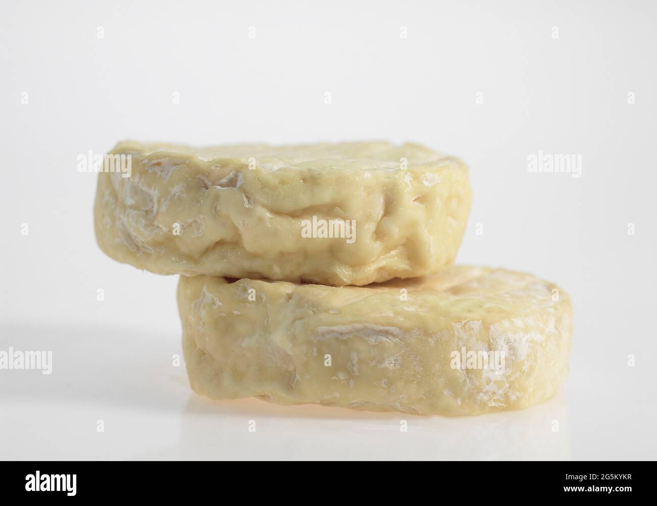 Saint Marcellin, French cheese made from cow's milk Stock Photo - Alamy