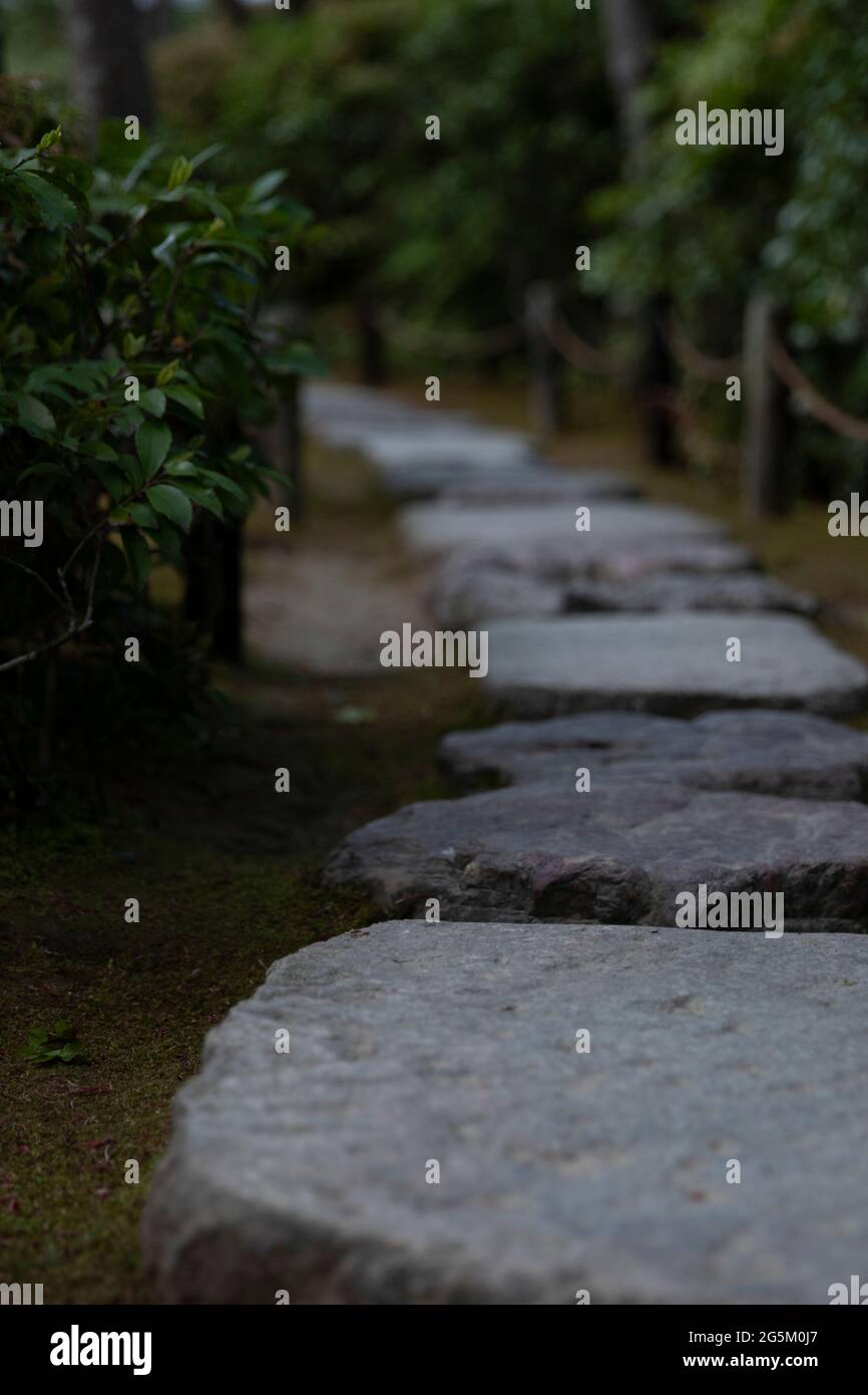 Plant japan path walking hi-res stock photography and images - Alamy