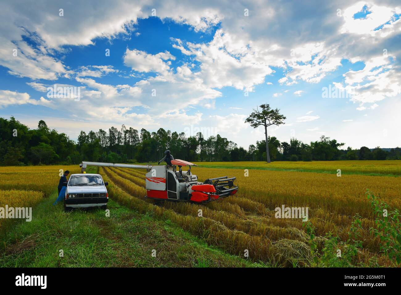 Rice harvester machine hi-res stock photography and images - Alamy