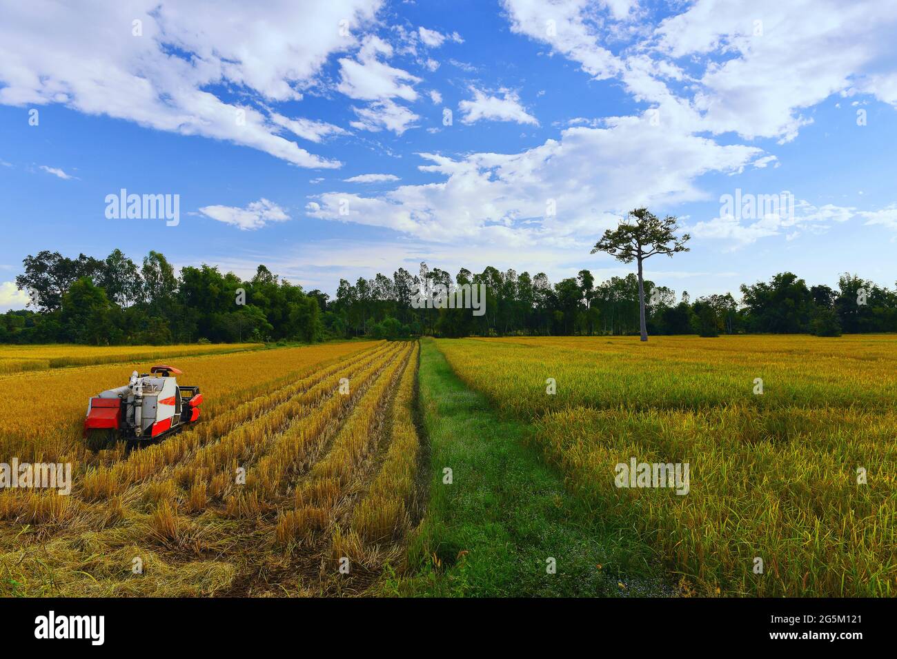 Rice harvester hi-res stock photography and images - Alamy