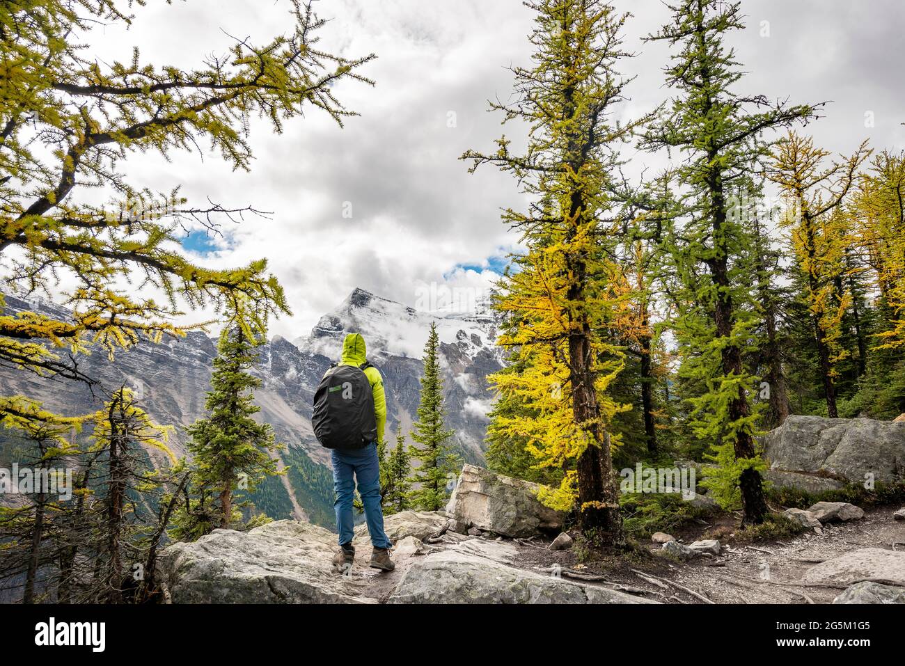Beehive trail banff hi-res stock photography and images - Alamy