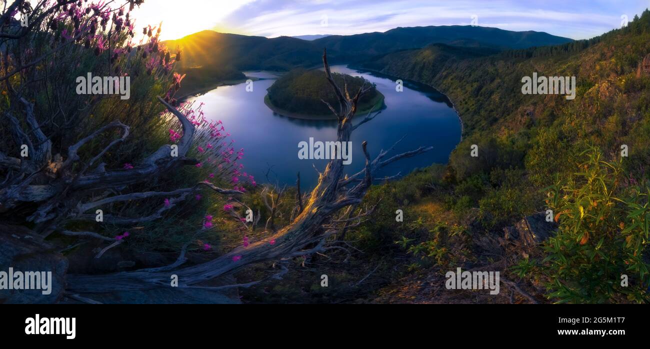 spring view of the valley of the meander of Melero at sunrise, flowers ...
