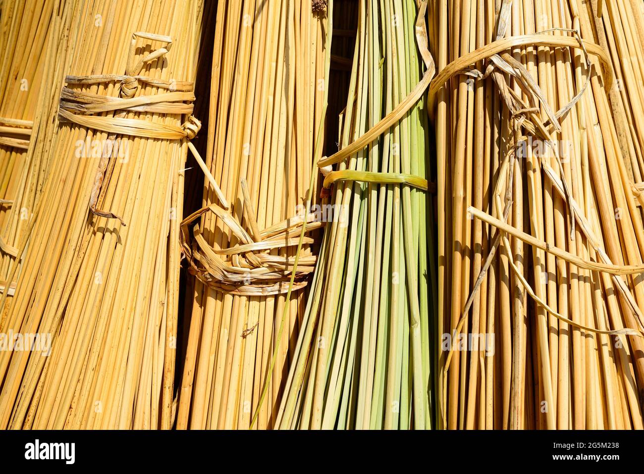 Reed bundle on a floating island of the Uro, detail, Lake Titicaca ...