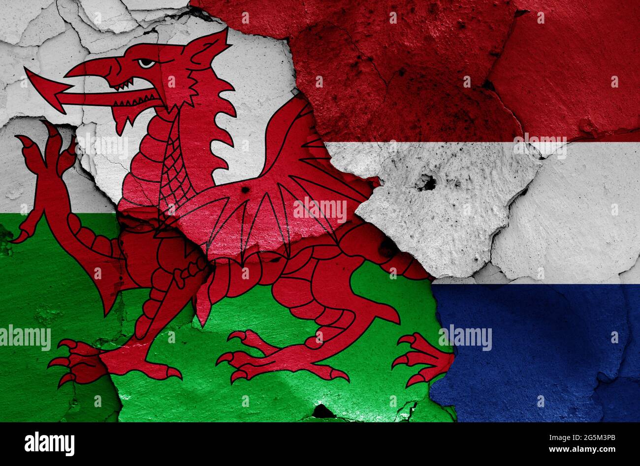 Official Welsh Flag