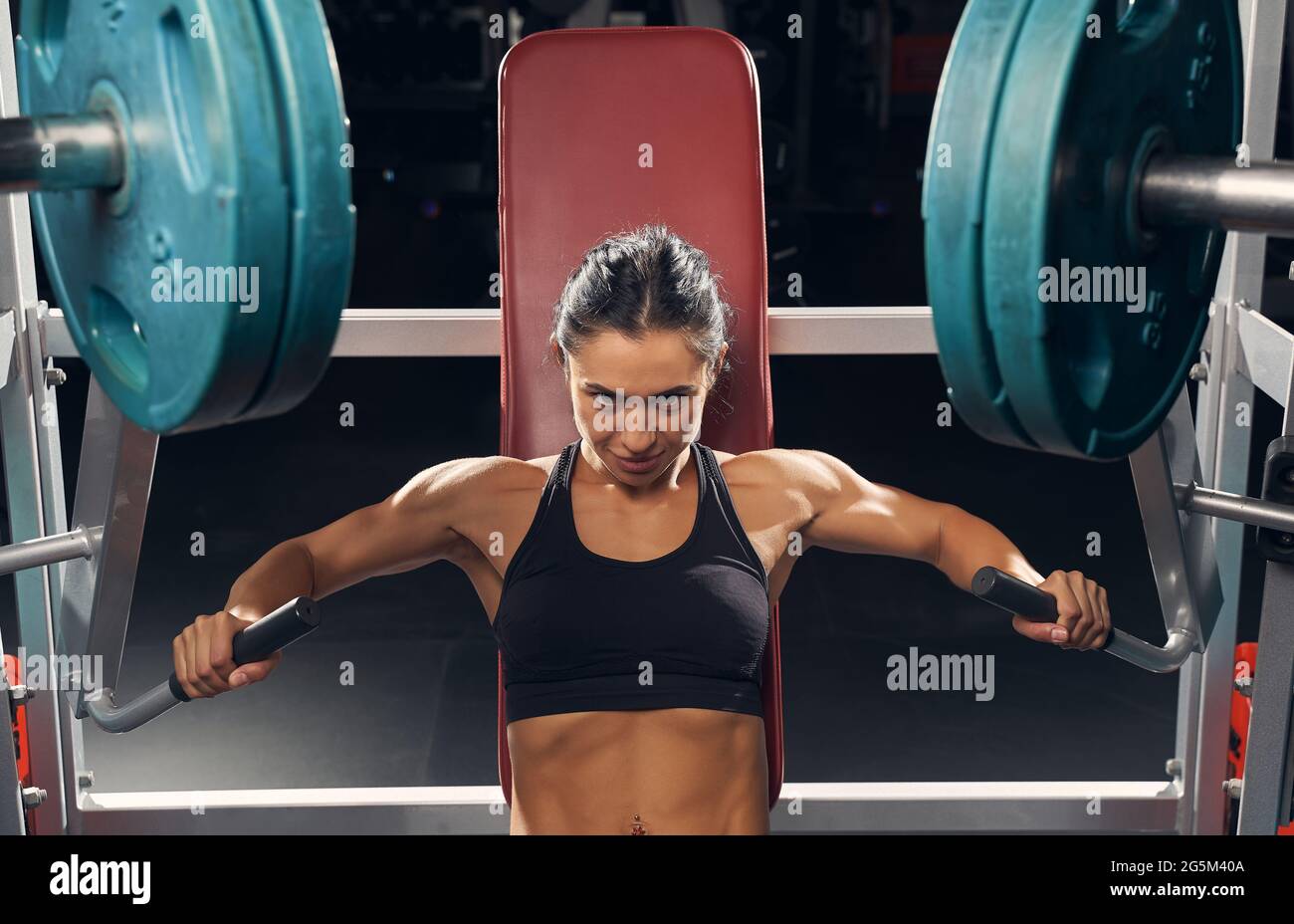 Beautiful sporty lady working out at the gym Stock Photo - Alamy