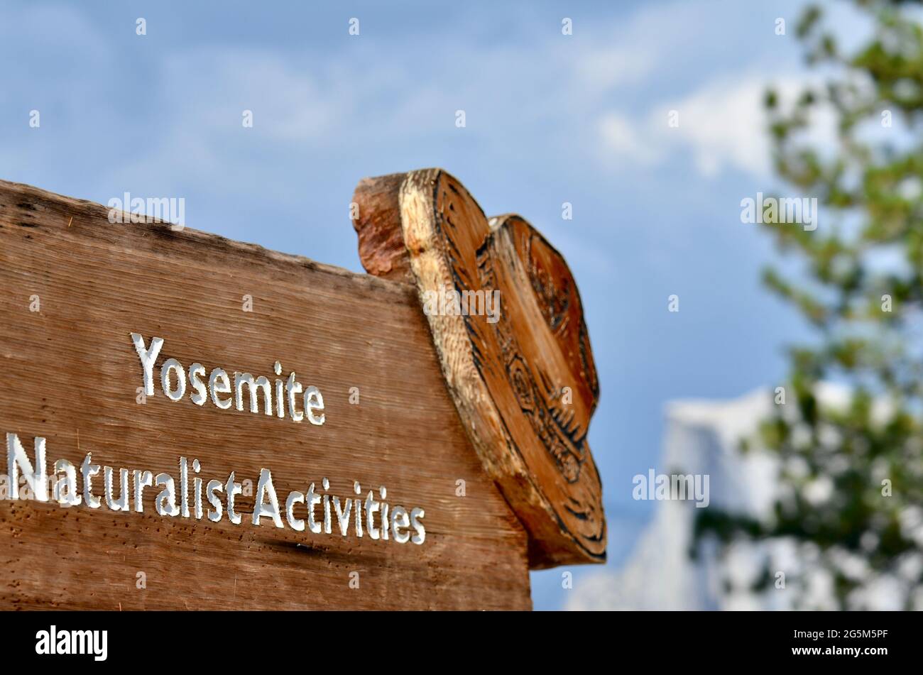 Yosemite Park Naturalist Activities sign Stock Photo - Alamy