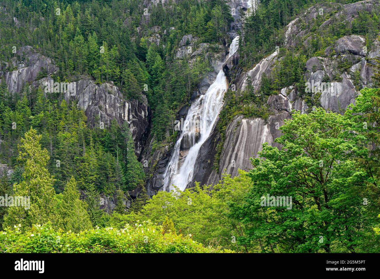 Shannon falls squamish hi-res stock photography and images - Alamy