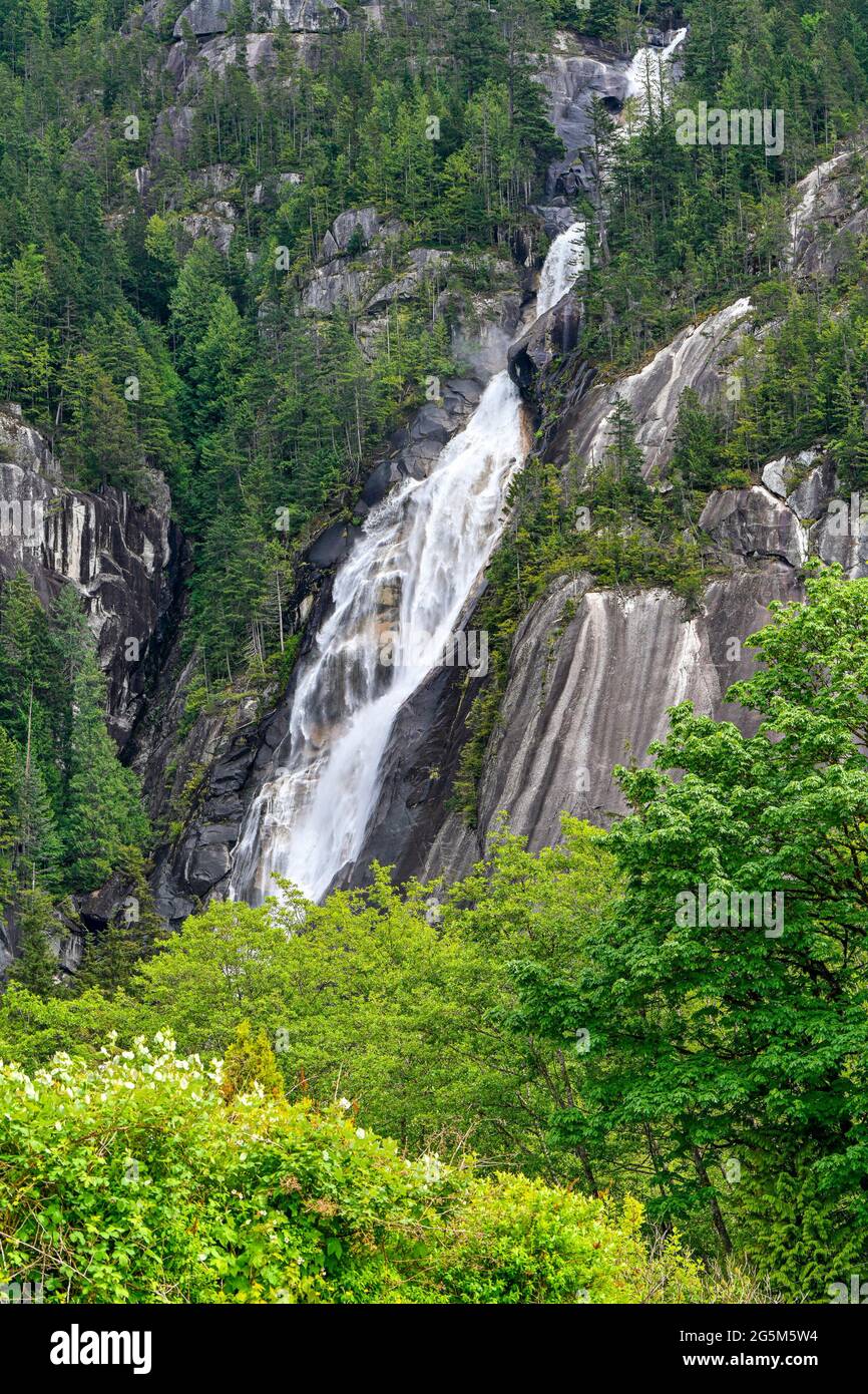 Squamish shannon falls hi-res stock photography and images - Alamy