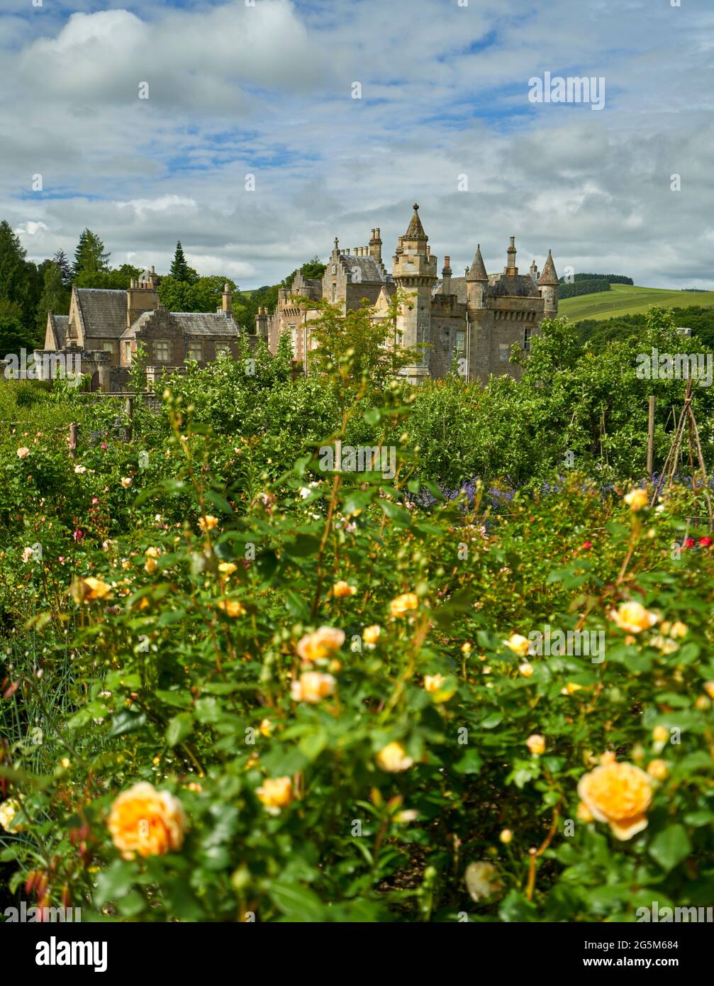 Beautiful flower beds in the walled garden of Abbotsford House in the ...