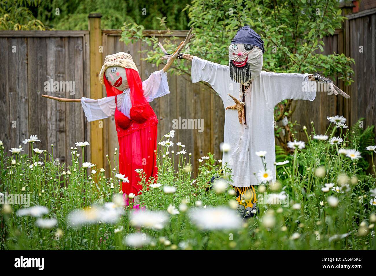 Scarecrow flowers hi-res stock photography and images - Alamy