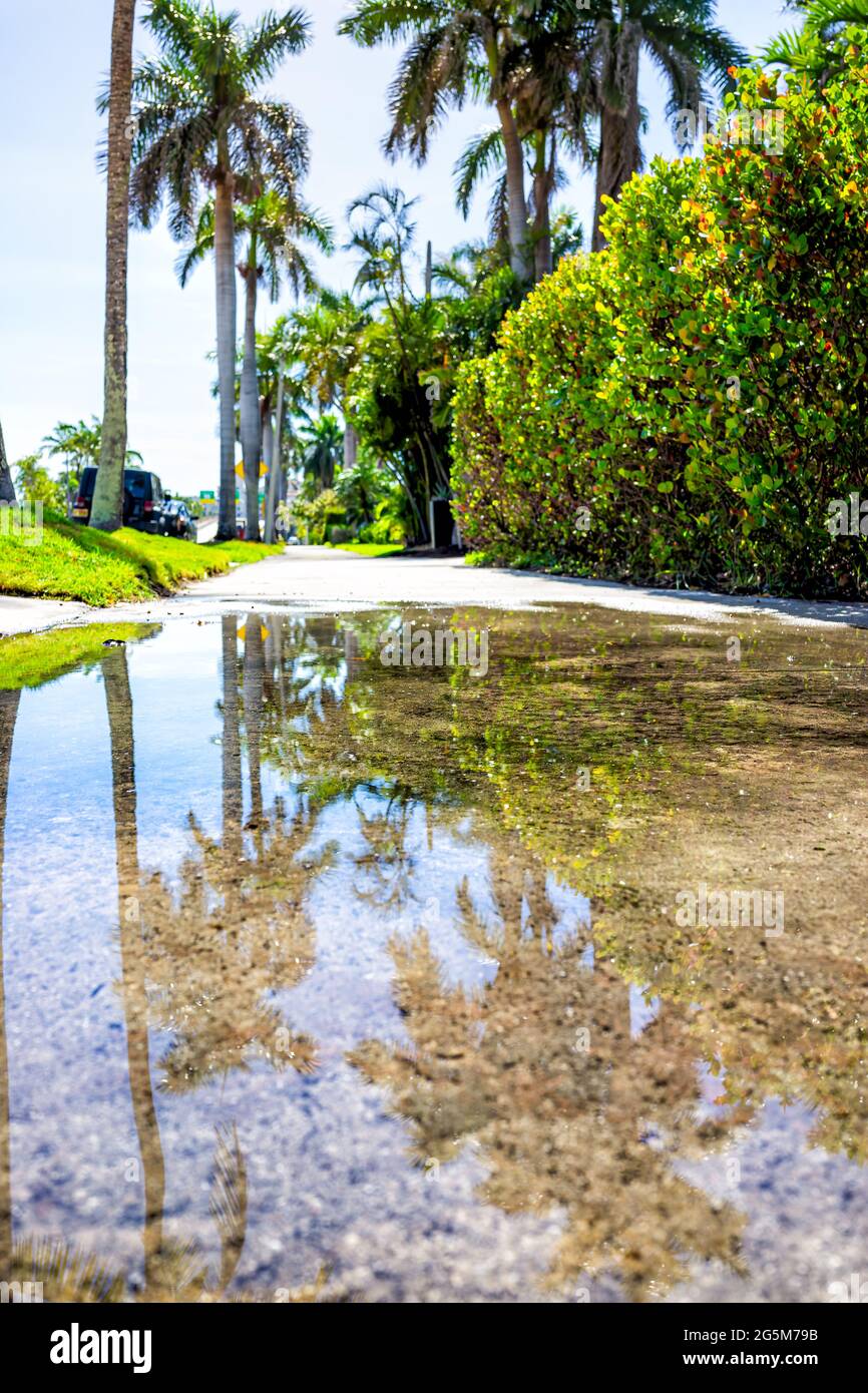 Puddle beach rain hi-res stock photography and images - Alamy