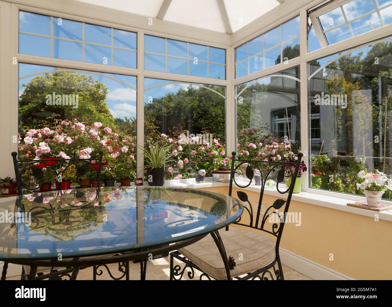 Glass Conservatory interior with roses outside Stock Photo - Alamy
