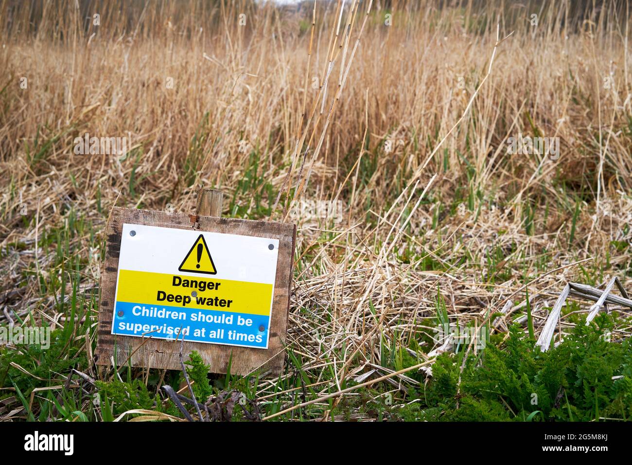 Danger deep water sign at the edge of reed beds Stock Photo - Alamy
