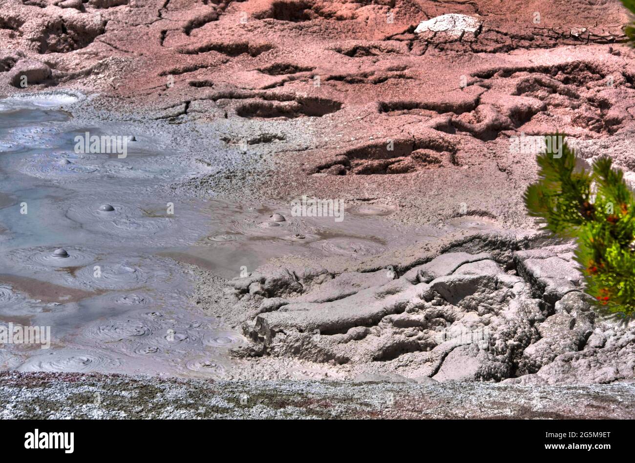 Closeup of a mud hot spring Stock Photo - Alamy