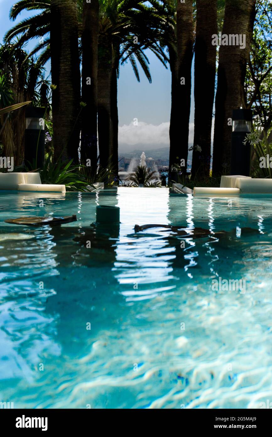 Luxury building palm trees around hi-res stock photography and images ...