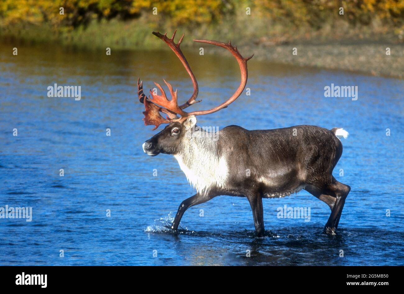 North America; United States; Alaska; Jade Mountains; Kobuk Valley ...