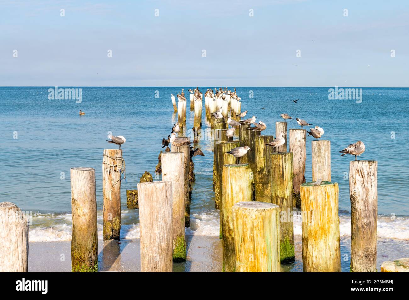 Old naples and florida hi-res stock photography and images - Alamy