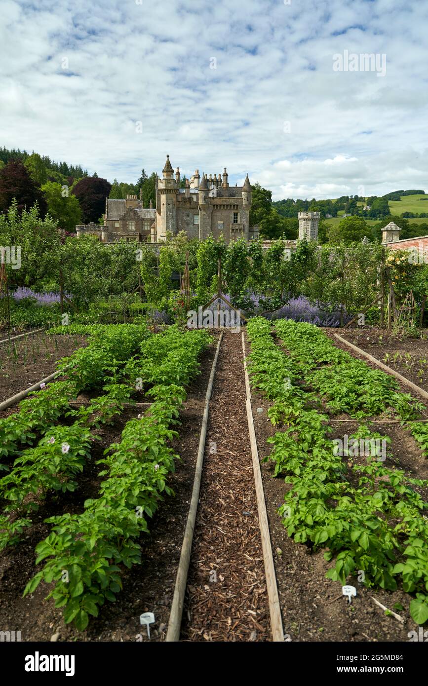 Scottish vegetable garden hi-res stock photography and images - Alamy