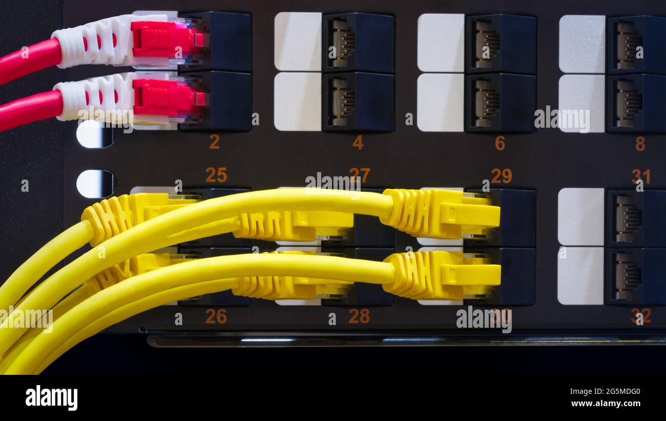 Multi Colored Network Cables Connected to Switch, network technology ...