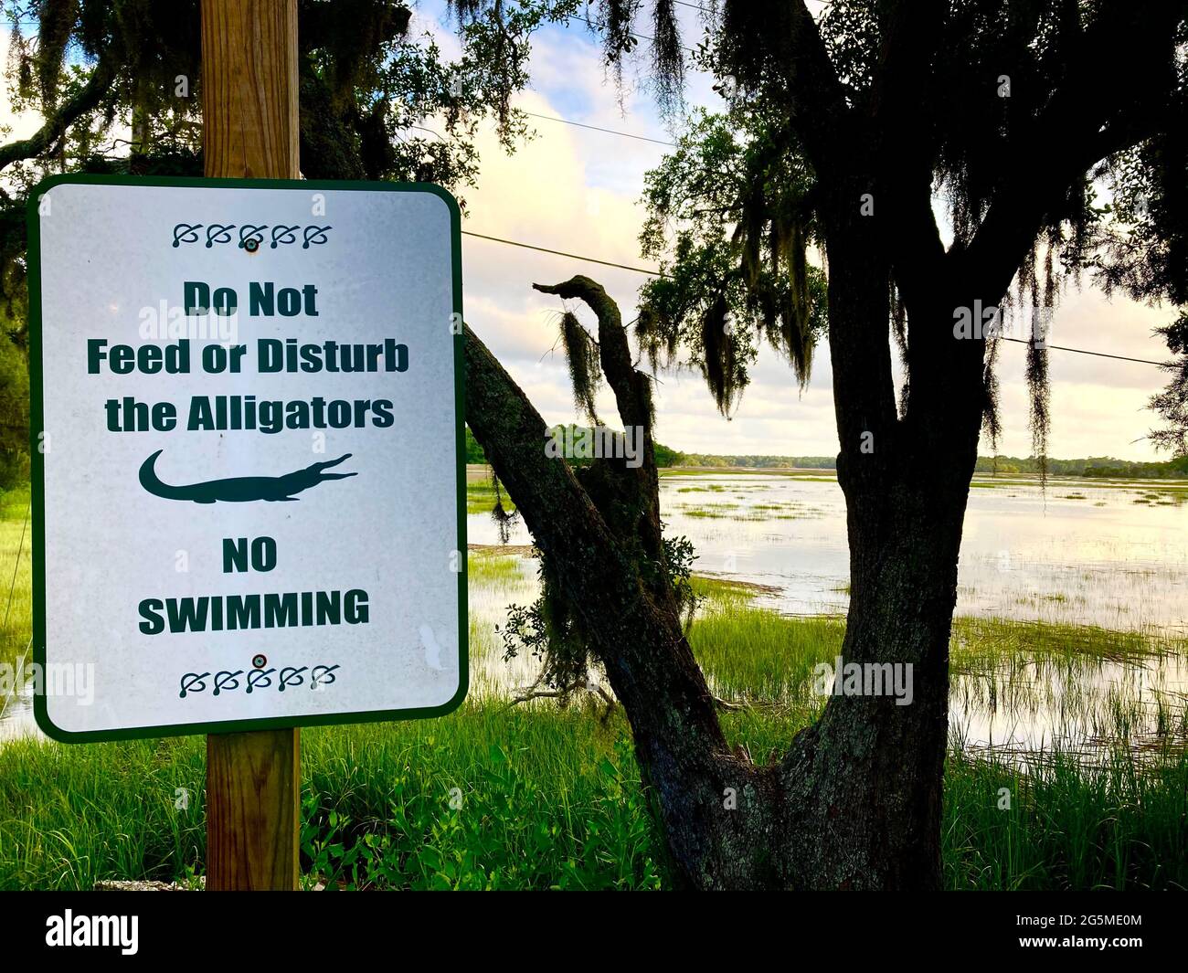 Alligator warning sign, St. Helena, South Carolina Stock Photo - Alamy