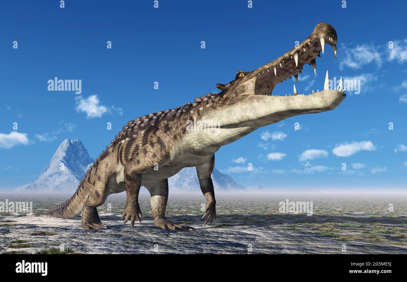 Kaprosuchus Size