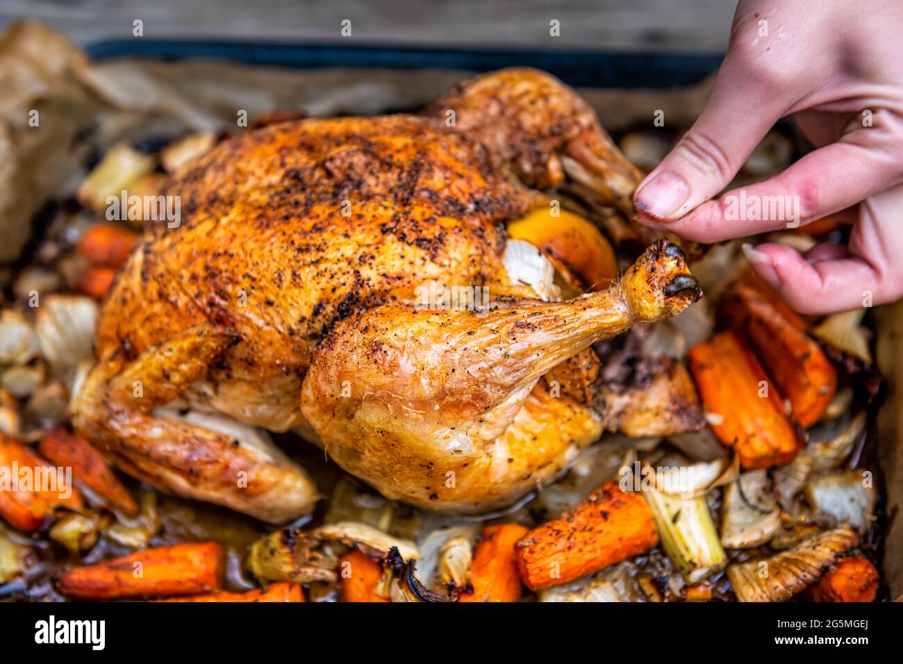 Roasted tied baked cooked whole chicken with woman removing string with ...
