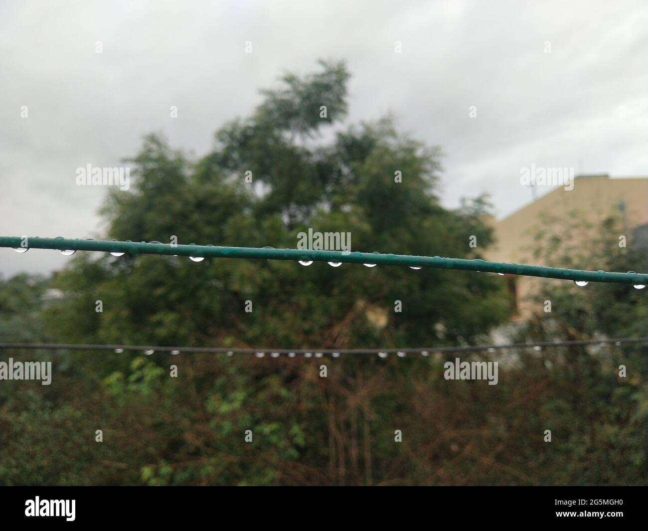 Drops on a wire hi-res stock photography and images - Alamy