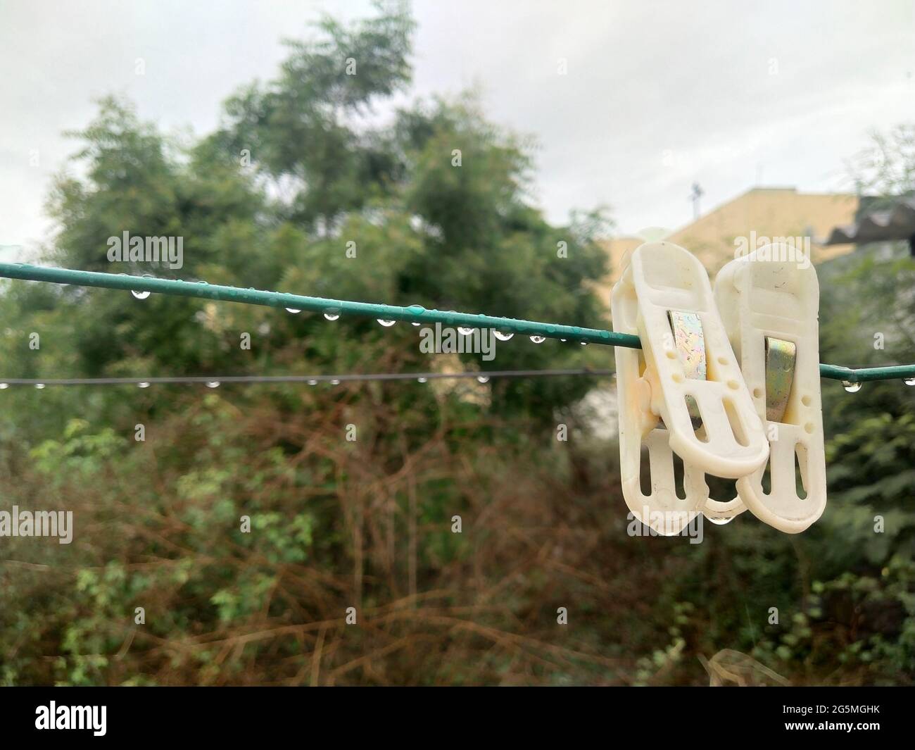 Drying clip with rain drops - closeup view Stock Photo - Alamy
