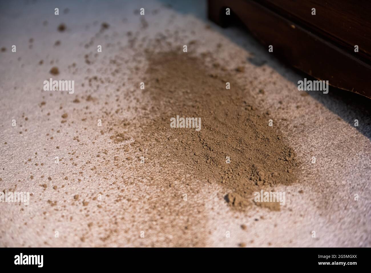 Carpet floor flooring with accident of herb powder dirt fallen and made ...
