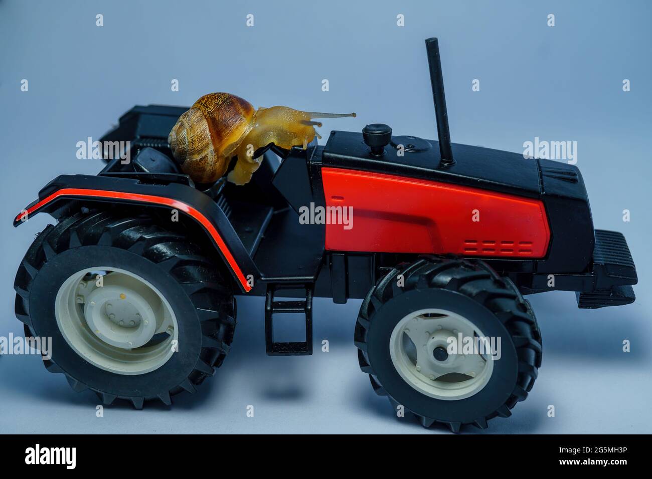 Snail driving a tractor. Speed and success concept Stock Photo - Alamy