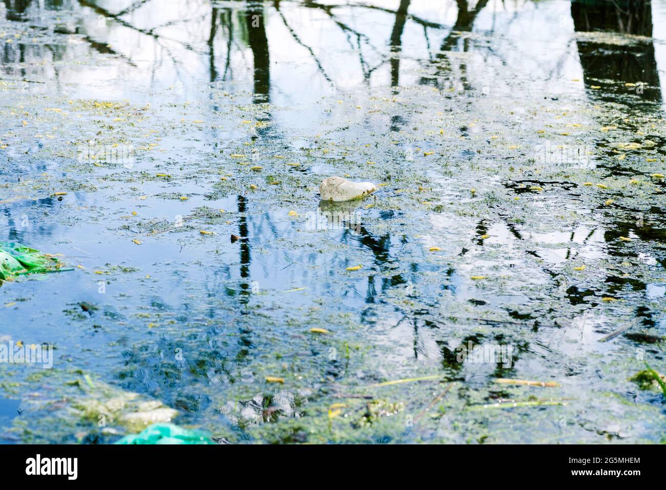 A disposable plastic bottle was thrown into the river. Pollution of ...
