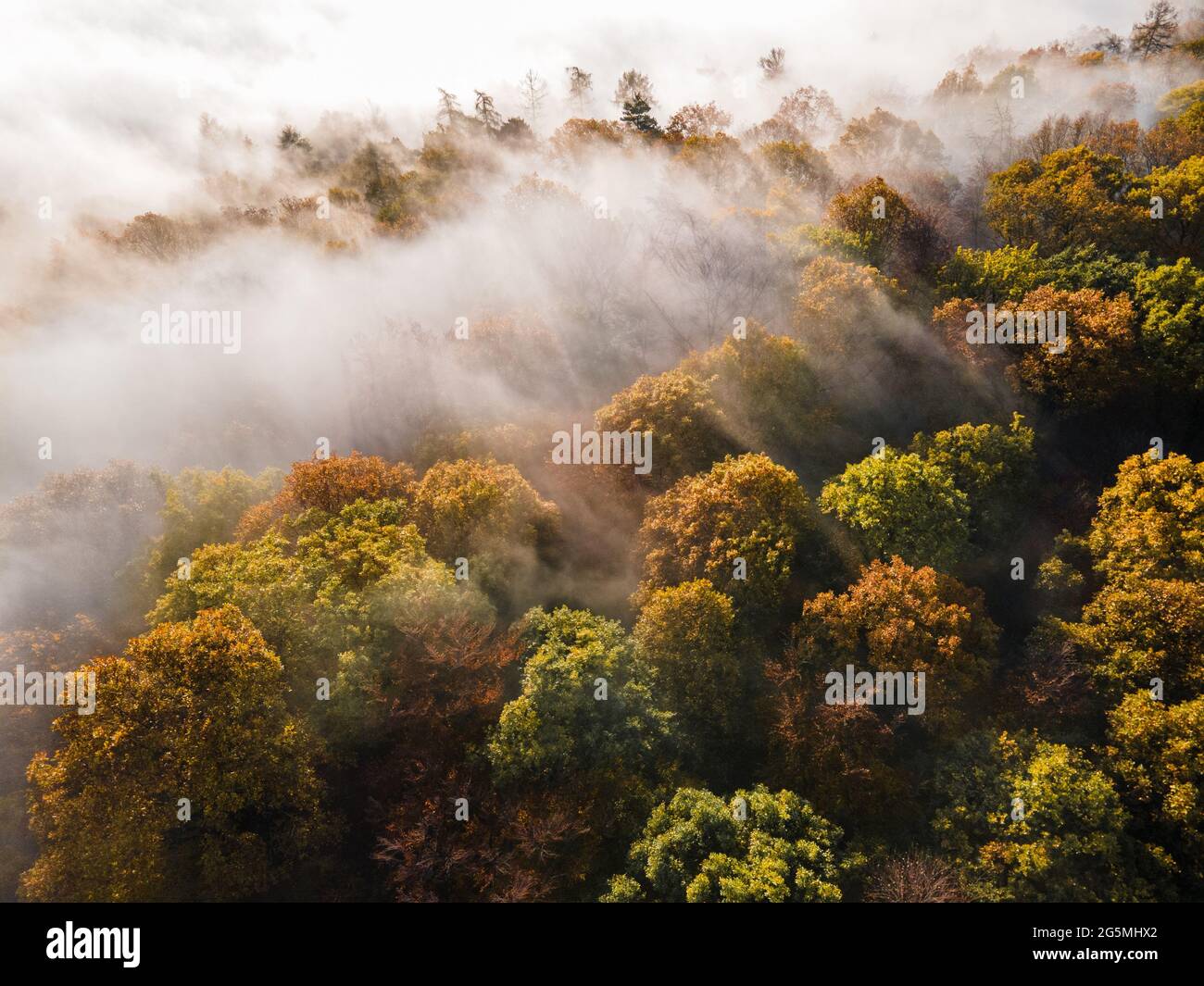 Forst aerial view hi-res stock photography and images - Alamy